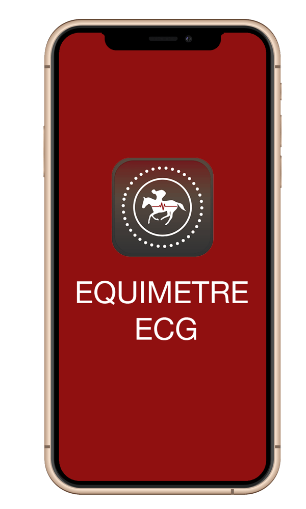 [VET] How to watch your horse's ECG live?